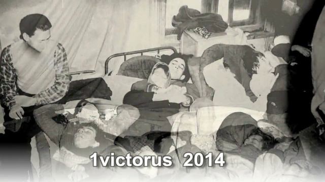 Быт Кочевников