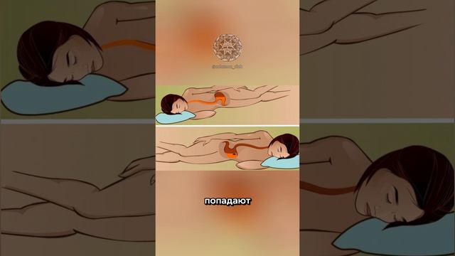 Элита должна есть лежа 
#shorts #соломон #факты #история #интересное #этикет