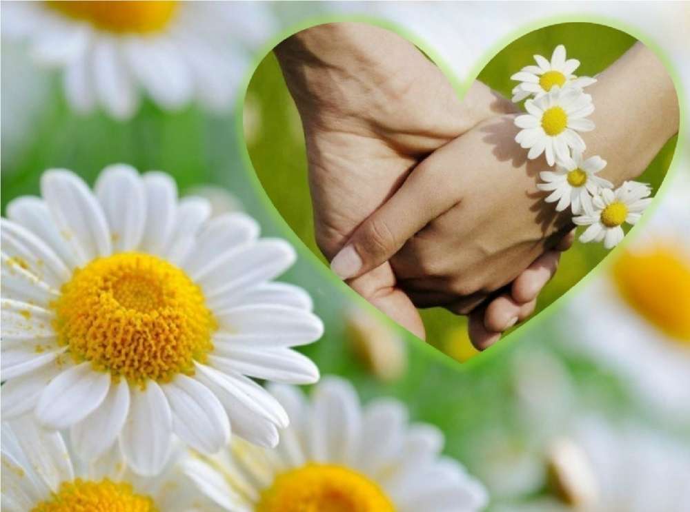 Стихи о семье. Стихи о любви. Цитаты о семье. Язык цветов.  Язык минералов.