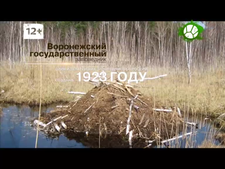 Заповедники России. Воронежский государственный заповедник