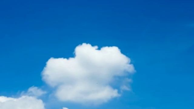 Какая теплая сегодня тишина...