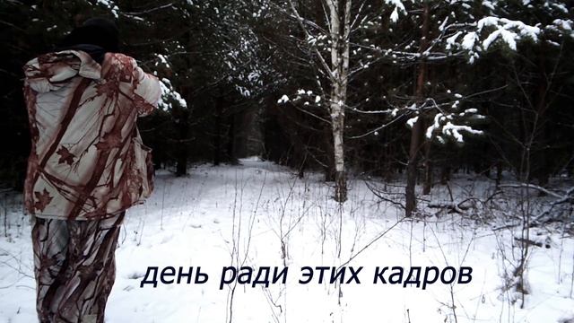 Открытие охоты на зайца беляка.