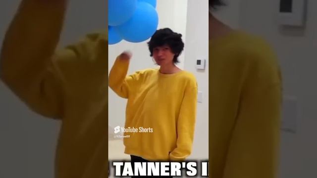 Лети, собачка! 🐶 #shonmendes #challenge #ананас #pineapple #comedy #шон #stokestwins #shawnstokes