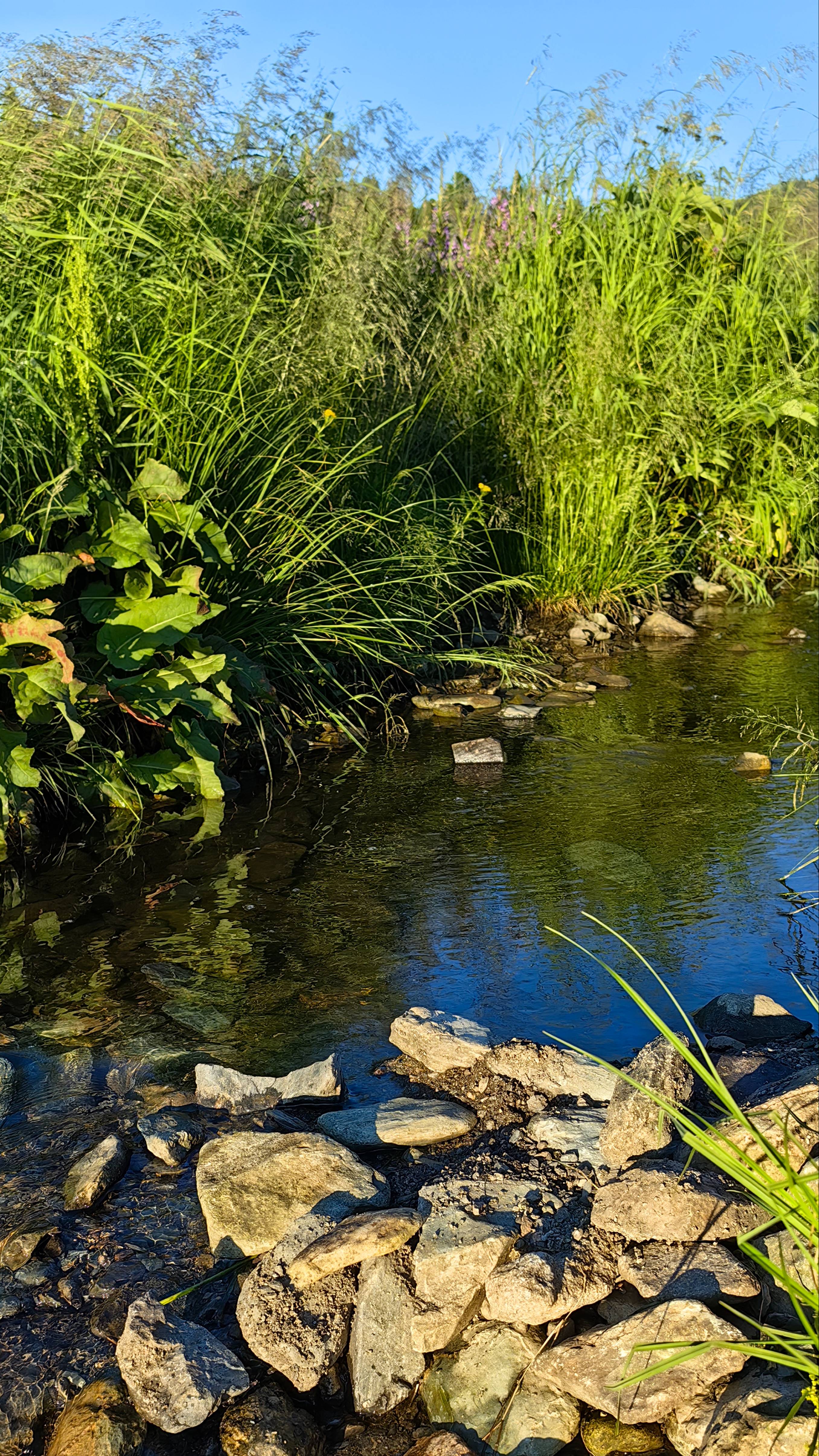Волшебное журчание высокогорного ручья
