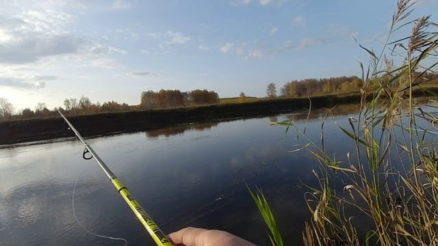 РЫБАЛКА НА ПОВЕРХНОСТНЫЕ ПРИМАНКИ, ПОППЕР, ХАРВАТСОЕ ЯЙЦО