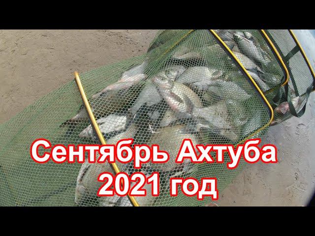 Сентябрь Ахтуба 2021 год