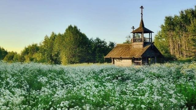 Земля Матушка №58