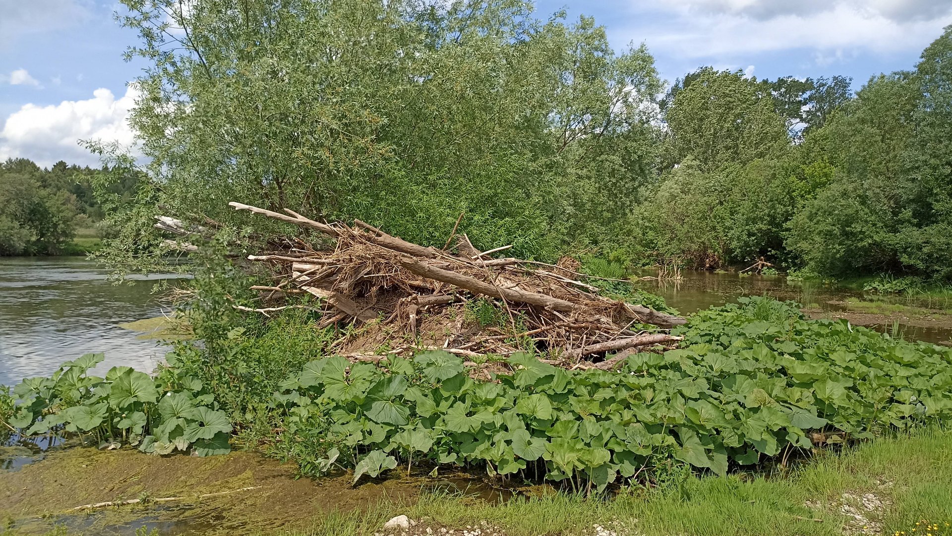 Про поиск и заготовку дров в путешествии