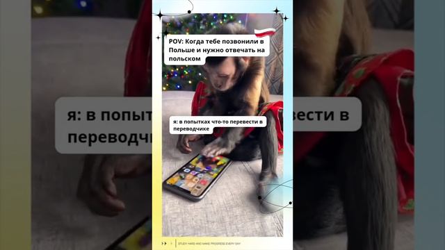 Знакомо? 😂