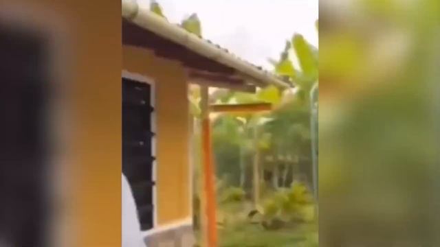 funny try not to laugh impossible memes (Mr. Memes)