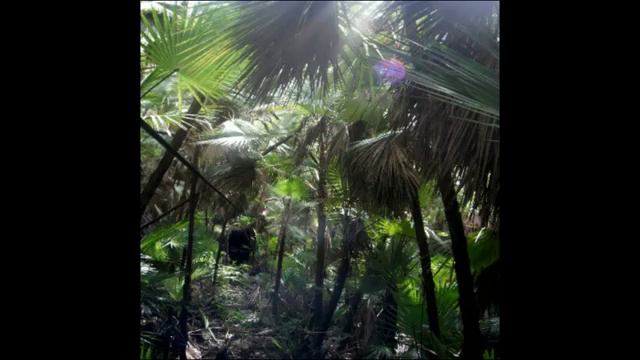 Lens_  _Скрытые миры_  Канкун _ _Hidden Worlds_ Cancun, Мексика