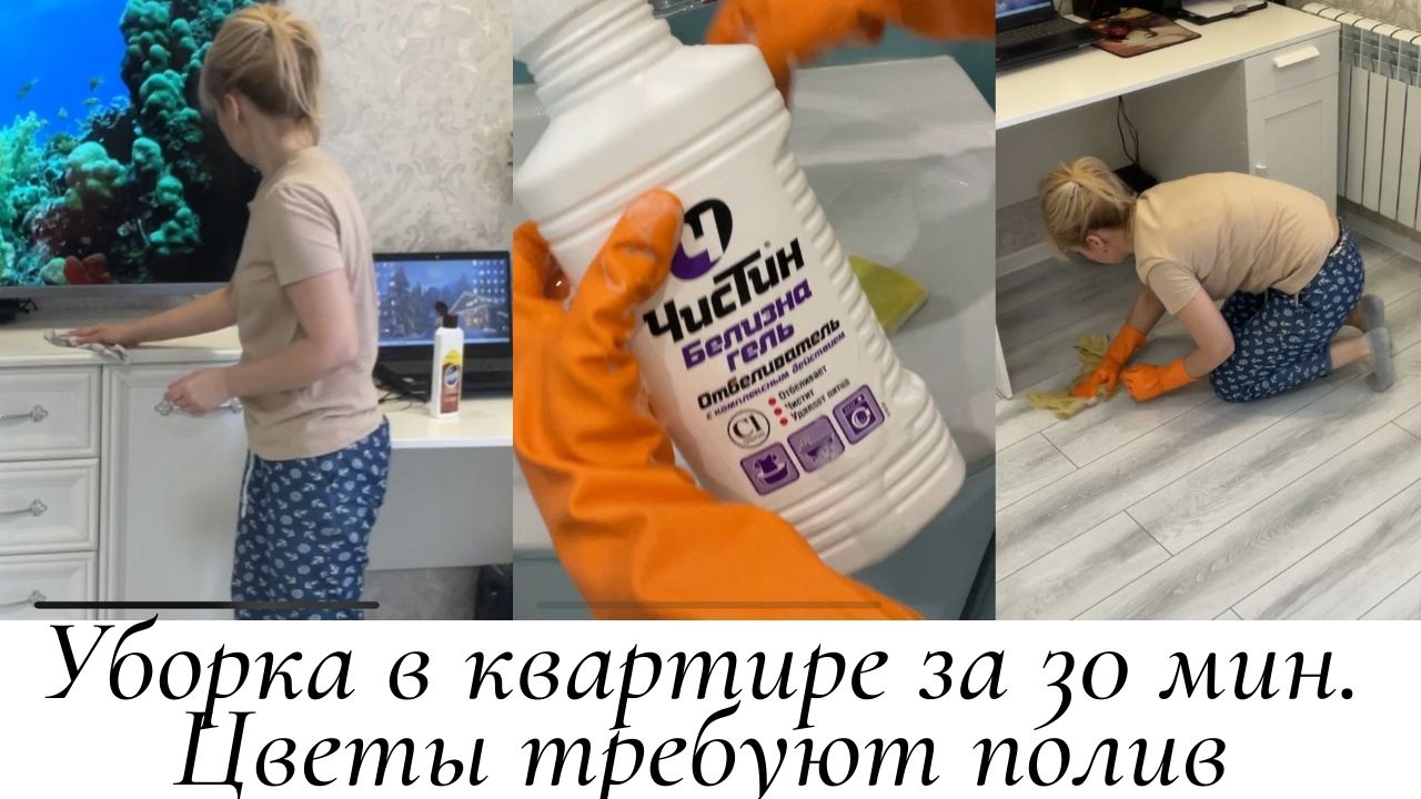 Уборка в квартире за 30 мин. Цветы требуют полив.