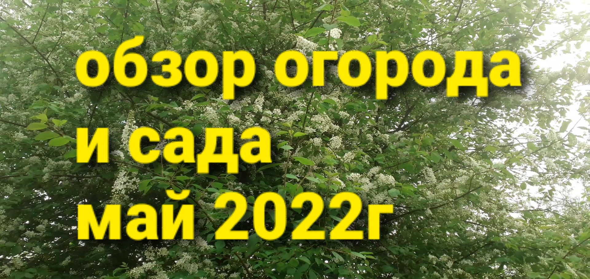 Обзор сада и огорода,май 2022г.