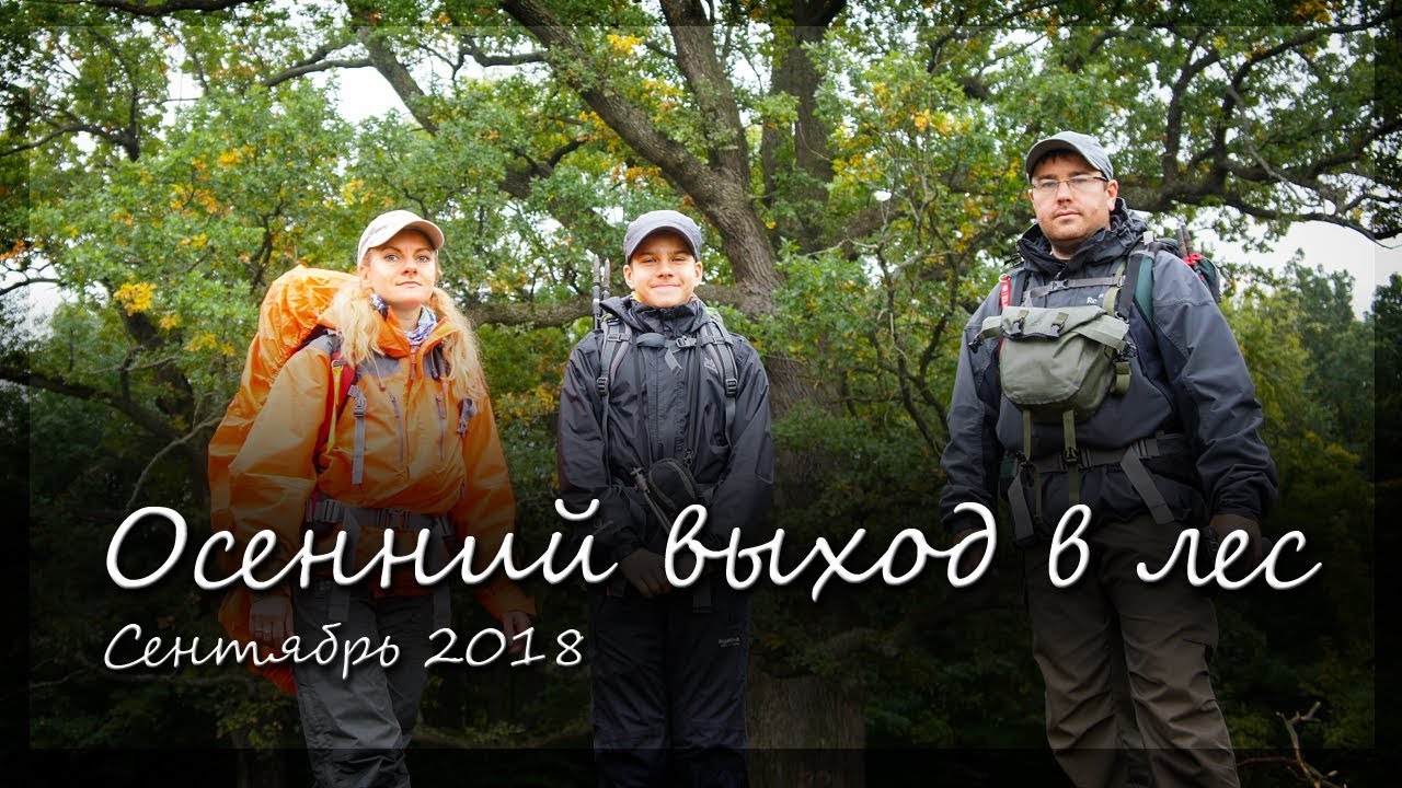 Осенний выход в лес 2018