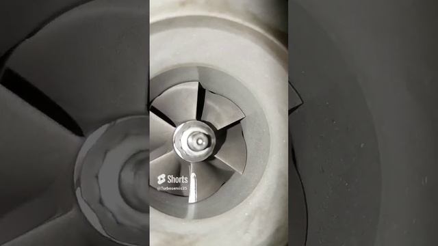 patrol y61 турбира