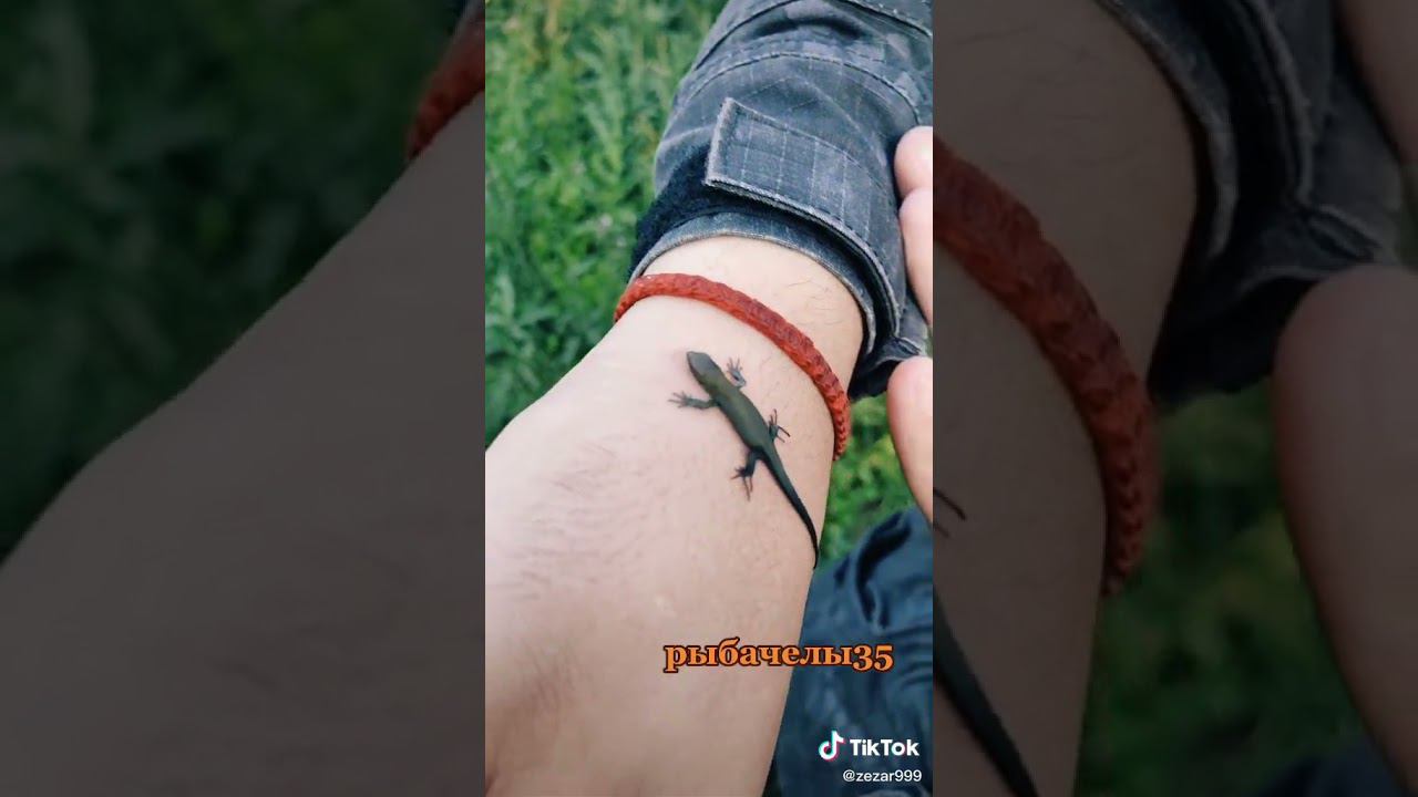 Ручной ДРАКОН