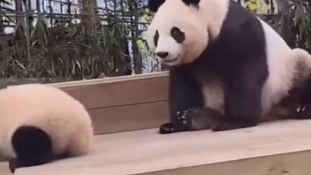 Как, с этими детками справиться))