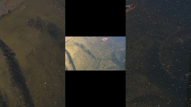 Не зевать! #short