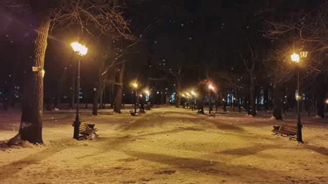 Брянск, Сквер Пушкина, Падающий снег, Зима под медленный бит (Lo-Fi Beats, relax, chillout).