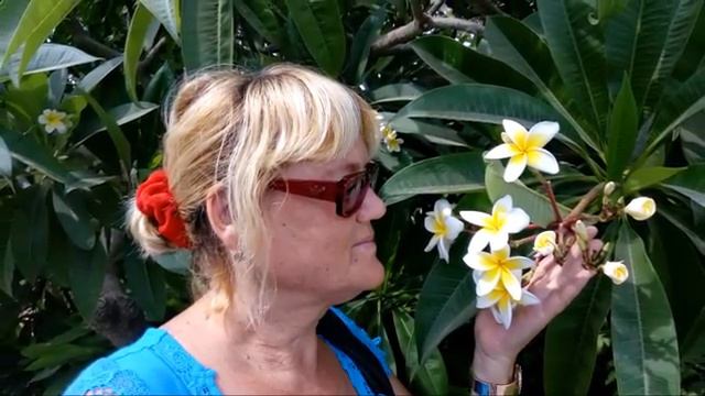 Бахайские Сады Акко 15 09 15