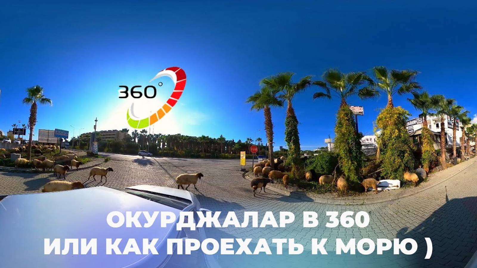 Алания. Район Okurcalar или как проехать к морю. Видео 360. Video VR 360