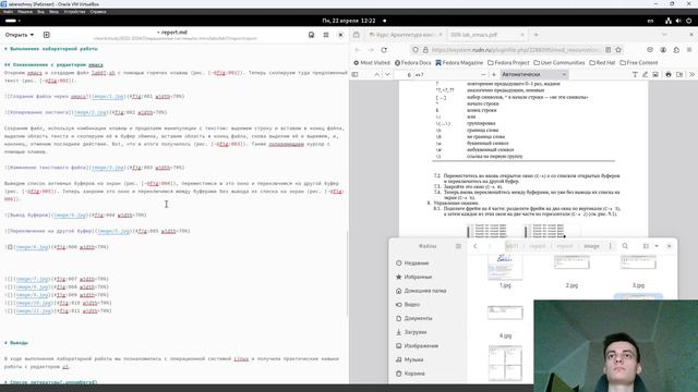 Отчёт по лабораторной работе №11