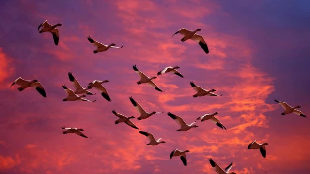 Не искать виноватых. Снять претензии к окружающим. ЛАЗАРЕВ С.Н.