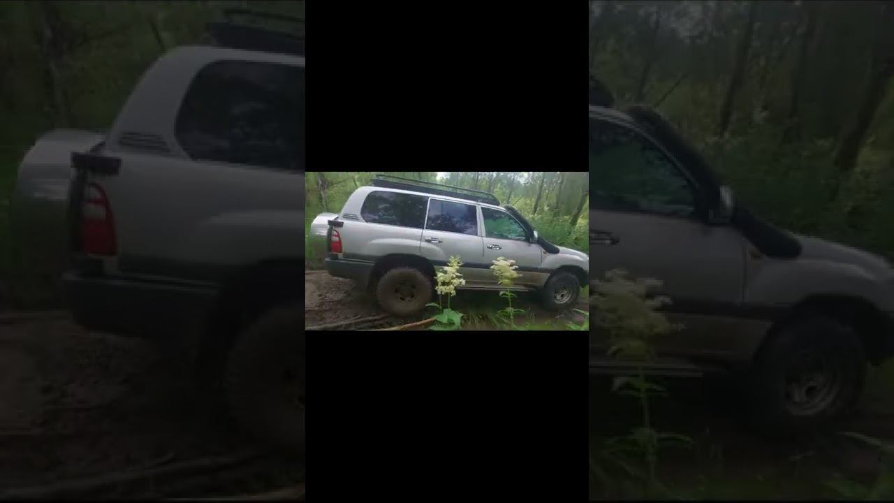 Дороги нет, куда ехать не знаем #shorts