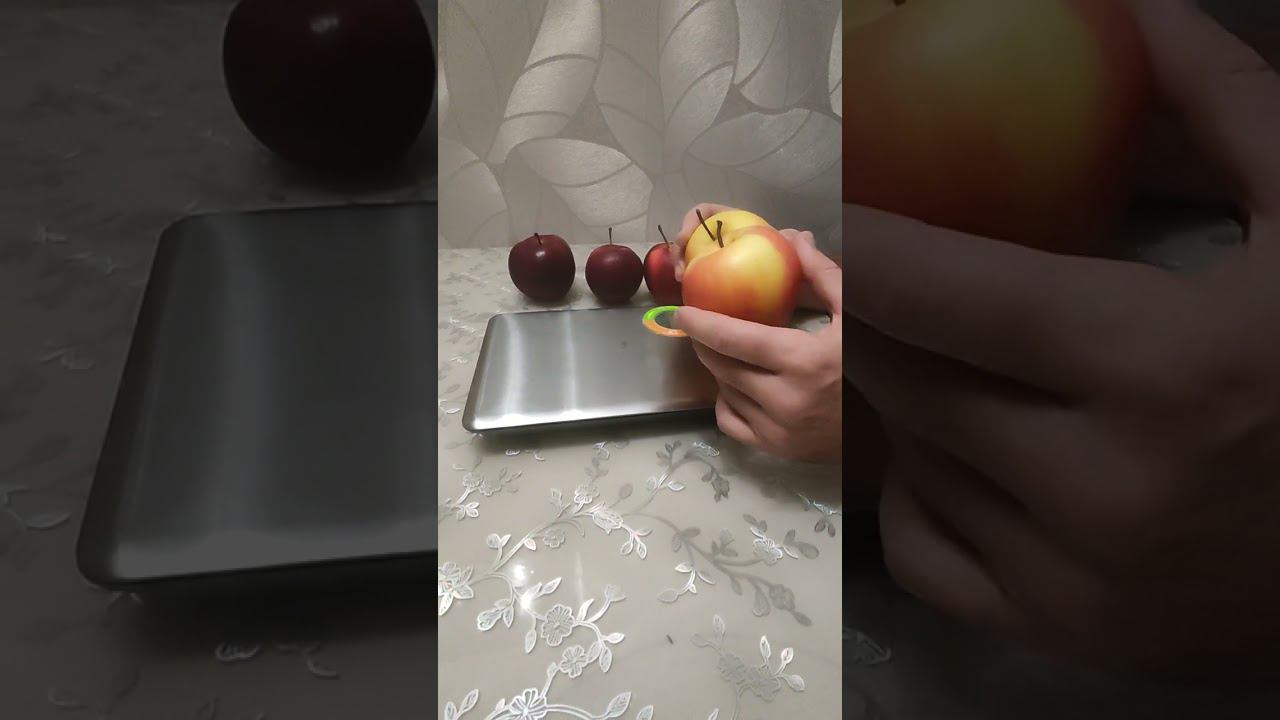 Пинова, Моди, Джеромини в хранении (28.11.23)