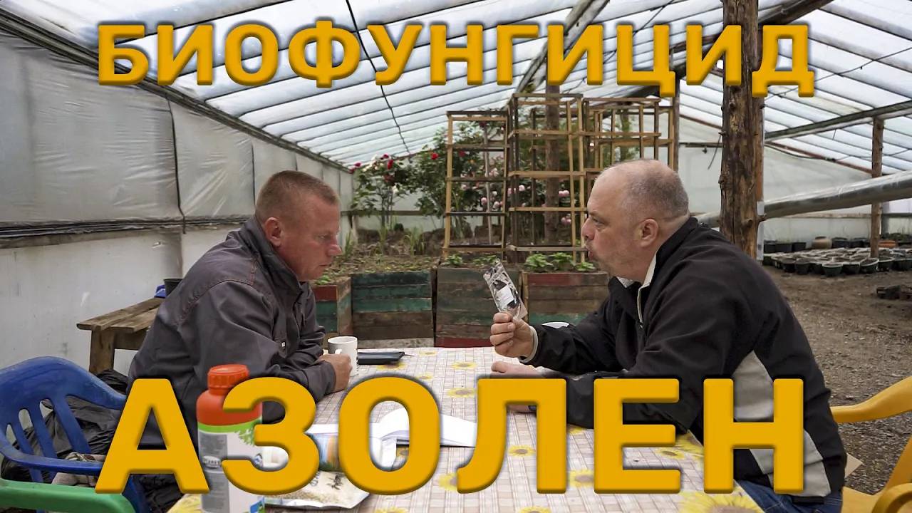 Биофунгицид Азолен для выращивания самой большой тыквы🎃