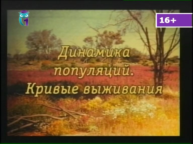 Экология популяций и сообществ. Динамика популяций. Кривые выживания