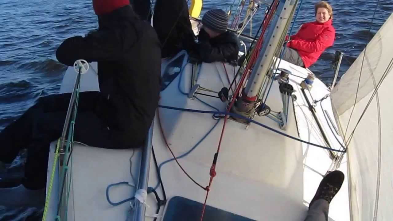 Фаворит перед вытаскиванием на зиму