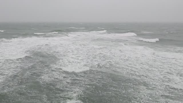 Репортаж из Геленджикской бухты 24.11.2023