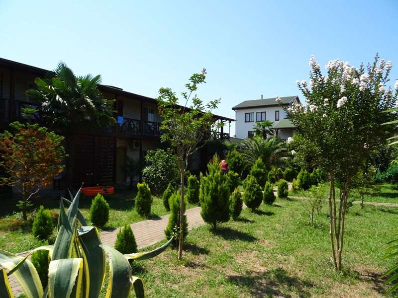 Гостиницы и отели Пицунды. Отдых в Абхазии в Пицунде Лдзаа. «Алашара» ГОСТЕВОЙ ДОМ