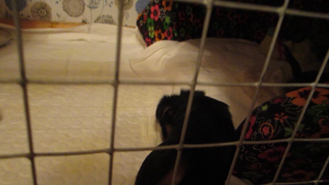 Лялечка обиделась