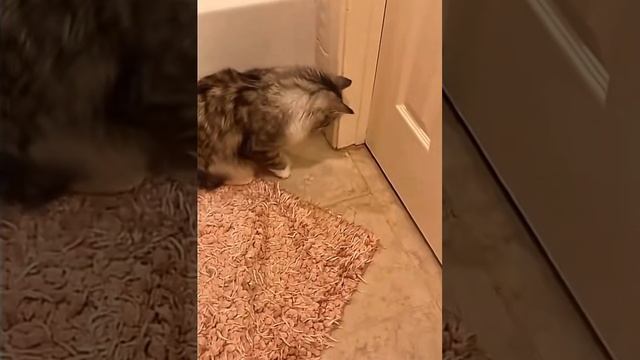 Магическая ручка