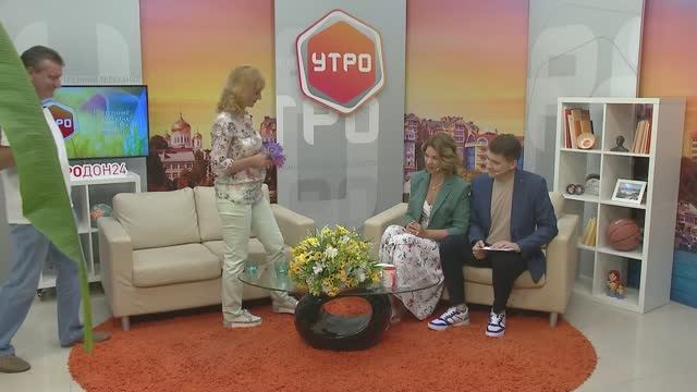 Программа Утро с нами про наш сад и бананы Татьяна и Михаил Холмановы почти тропики