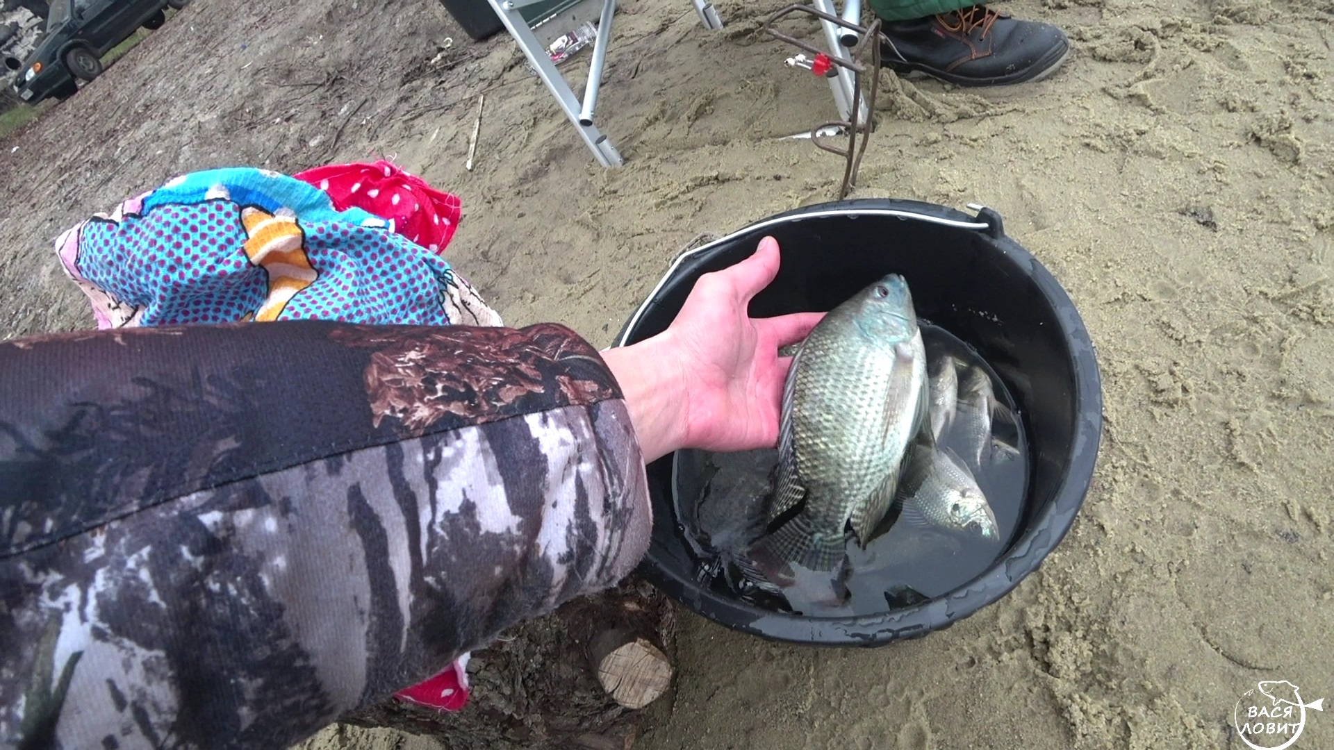 Ловля Тилапии в Воронежской области (15.11.2020)