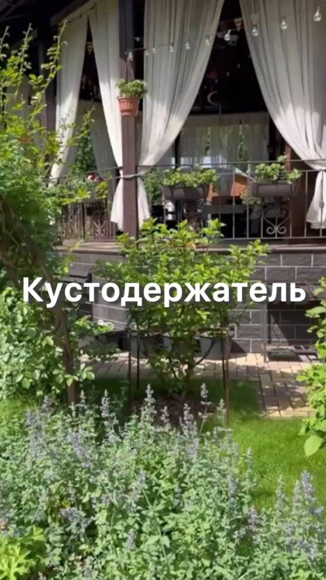 КУСТОДЕРЖАТЕЛЬ доступен к заказу на сайте, на OZON и WB