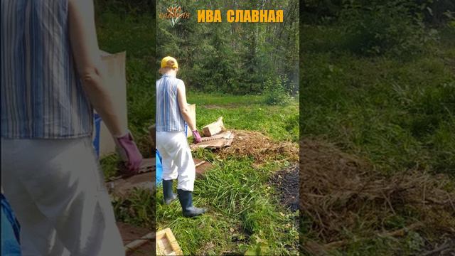 Ива Славная: Борьба с плюшкинизмом (13.08.2024)