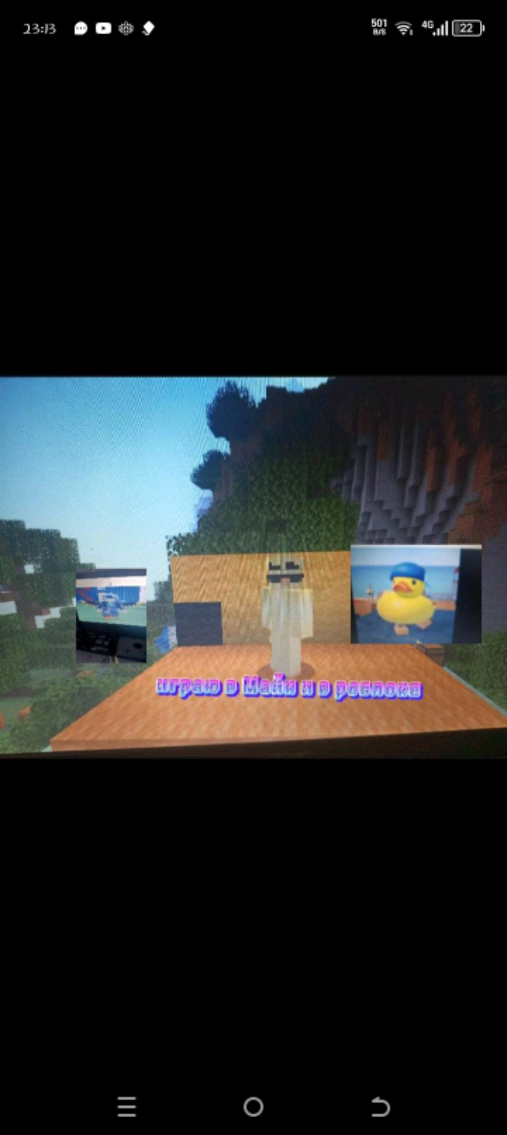 играю в Майн и роблокс 🦆