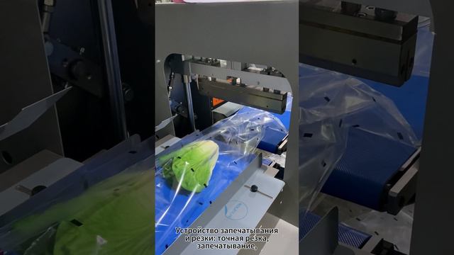 600X машина для упаковки салата в пакеты-подушки