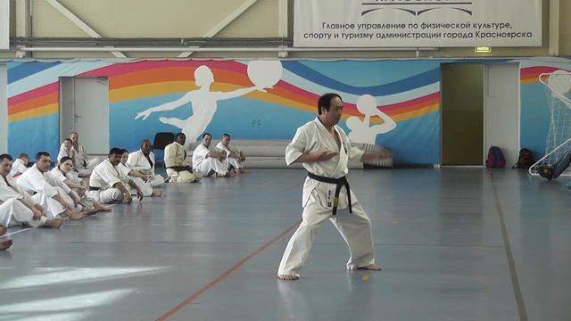 Ката Гекусай Шо. Сборы под руководством И. Мацушимы 9 дан, Япония.