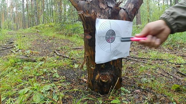 Карабин Baikal МР 161К-02 22LR Манул стрельба на сто метров