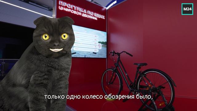 Мультимедийная выставка технологий Москвы | Кот Бублик