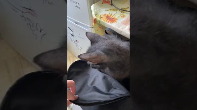 Что купил? Проверка качества от Юкки