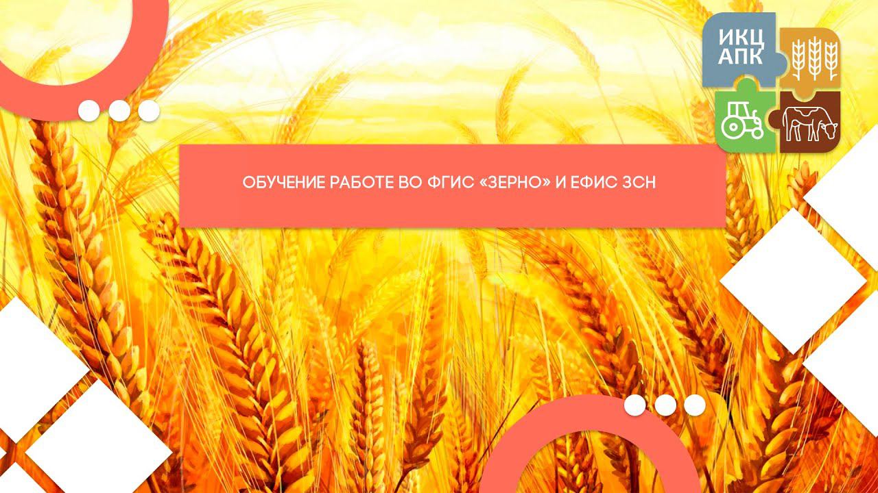 Запись семинара  от 24 августа 2023 года