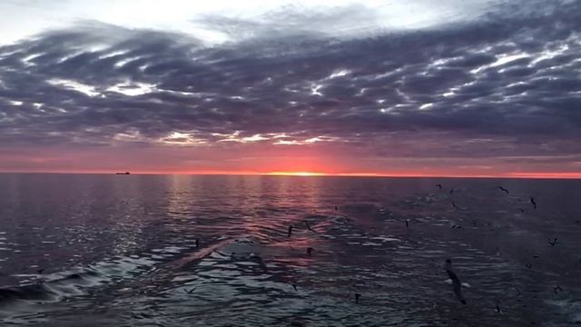 Моря вам красивого!