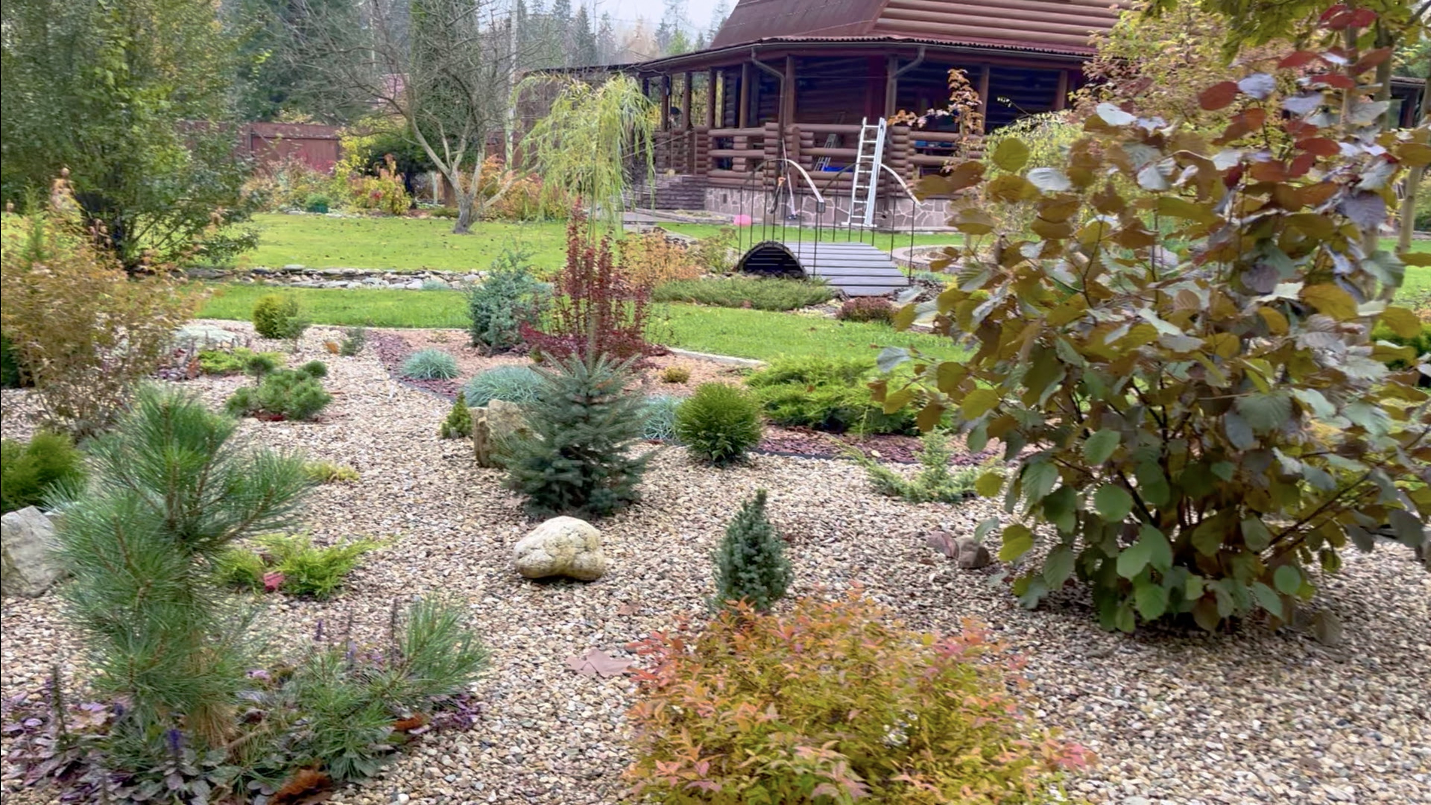 ЗАКРЫВАЕМ ДАЧНЫЙ СЕЗОН. ПОСЛЕДНИЕ ДНИ ОКТЯБРЯ. БУЗИНА БЛЕК ЛЕЙС. БРУННЕРА ЛУКИН ГЛАСС. ГВОЗДИКА.