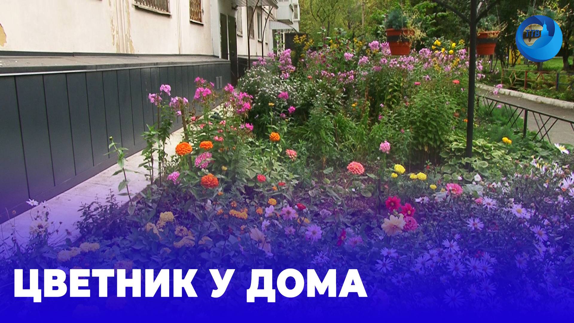 Цветник у дома